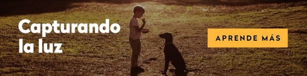 Cómo hacer fotos a contraluz - Hello! Creatividad